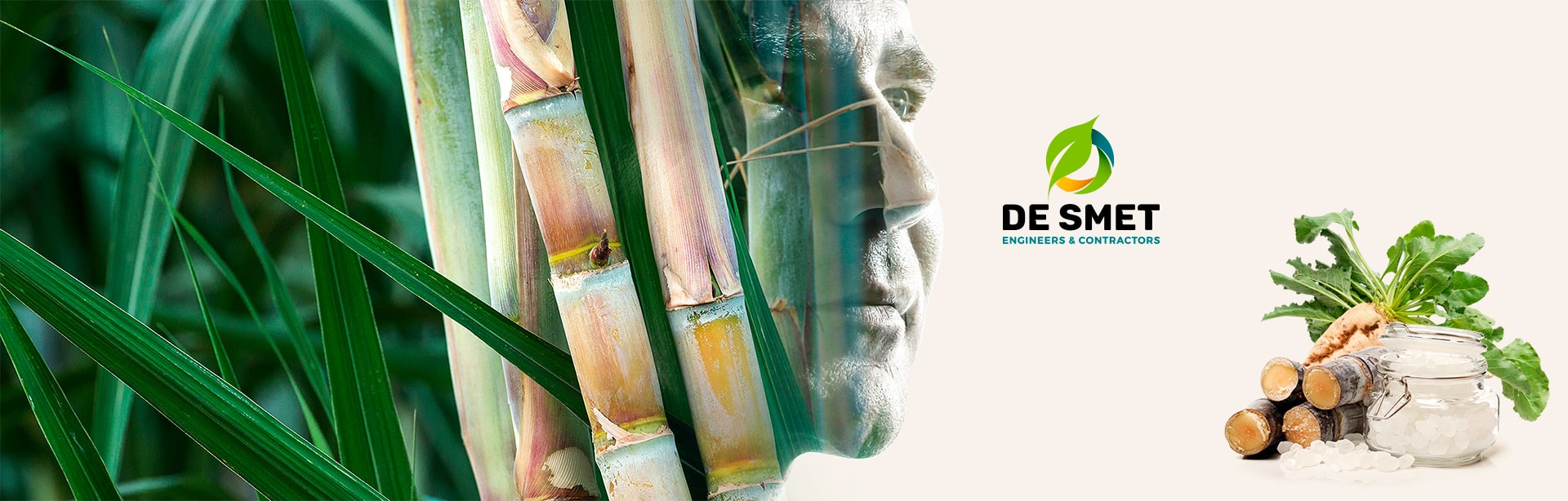 Home | De Smet Engineers & Contractors (DSEC)