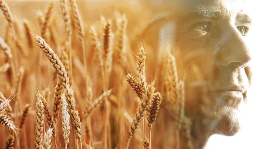 KSL Sugar Factory, Wang Saphung, Thailand | De Smet Engineers & Contractors